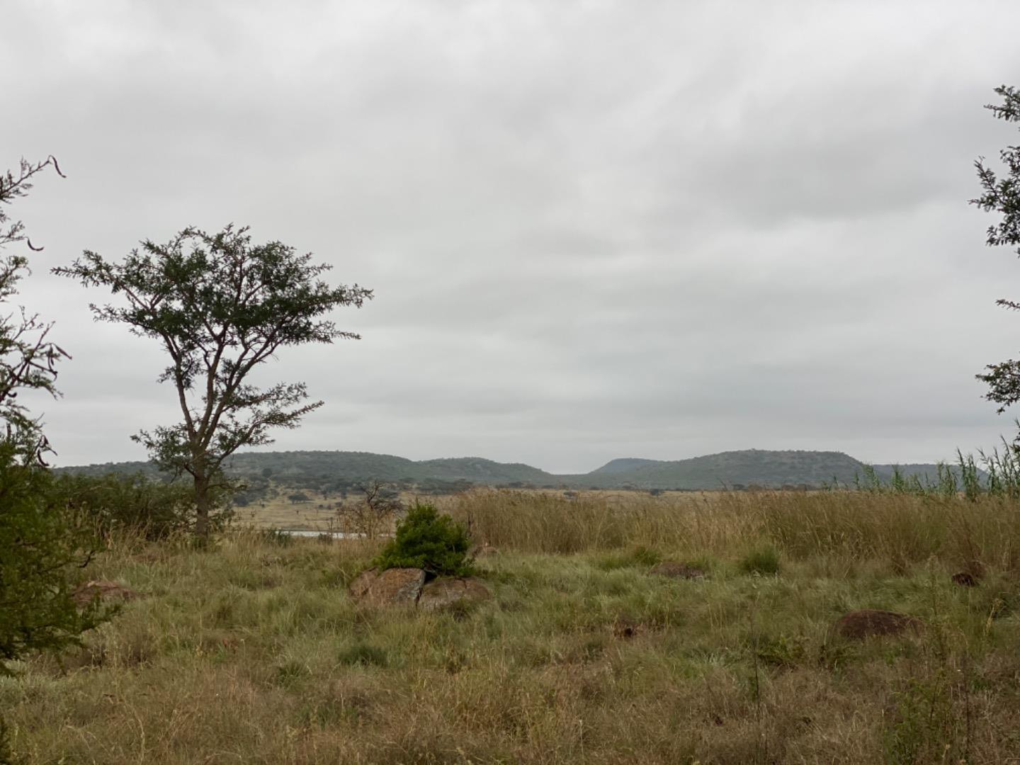 Property By Category | Dedekind Real Estate